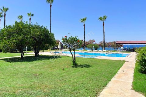 Arman Şah Homes Antalya Alanya Demirtaş Mahallesi 2+1 Oda Satılık Daire ...